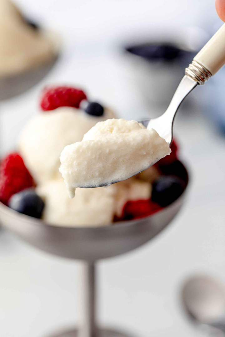 Honey Frozen Yogurt | Jernej Kitchen